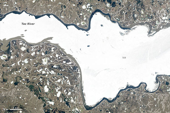 每日卫星照：俄罗斯塔兹河融冰|俄罗斯|卫星|北冰洋_科学探索_新浪科技_新浪网