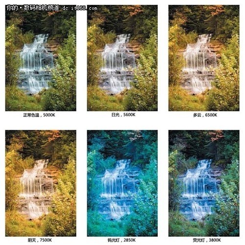 相机中的白平衡功能怎么用|白平衡|摄影技巧_数码_新浪科技_新浪网