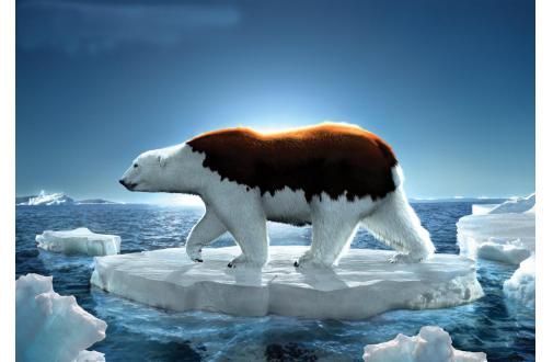 标普：气候变化冲击经济 热带国家首当其冲|气候变化|信用评级_新浪财经_新浪网